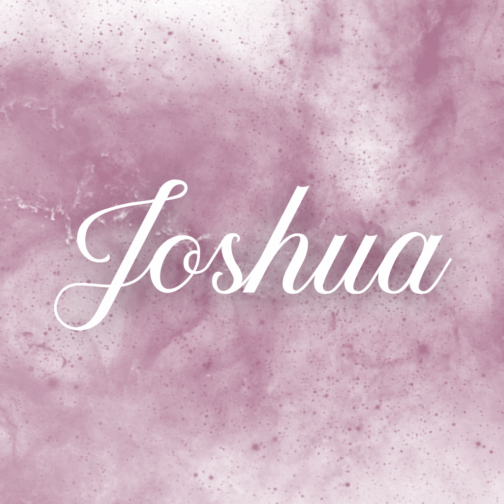 Joshua – Scripture Supply